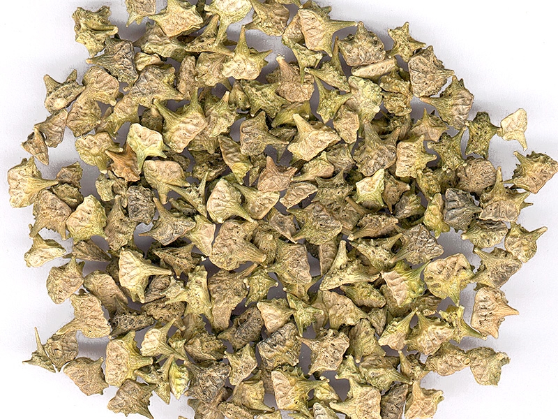BAI JI LI - Puncture Vine Fruit - Tribulus Fruit - Caltrop Fruit ...