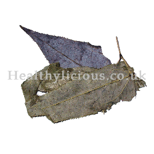 YIN YANG HUO - Epimedium - Herba Epimedii Herb | Healthylicious Herbs ...
