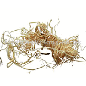 ZHU RU - Bamboo Shavings - Caulis Bambusae in Taeniam Herb ...