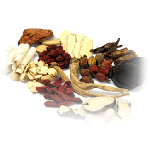 YA DAN ZI - Brucea Fruit - Fructus Bruceae Herb | Healthylicious Herbs ...