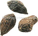 CAO GUO - Tsaoko - Fructus Tsaoko Herb | Healthylicious Herbs | Chinese ...