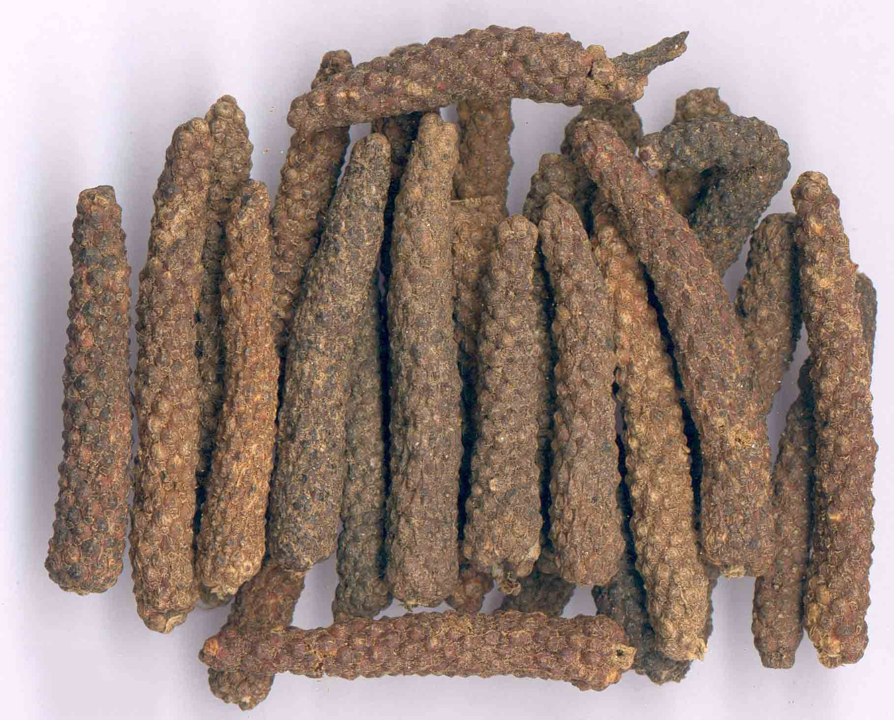 BI BA - Long Pepper Fruit - Fructus Piperis Longi Herb | Healthylicious ...