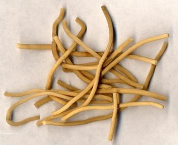 DENG XIN CAO - Rush Pith - Bulrush Pith - Medulla Junci Herb ...