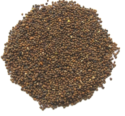 TU SI ZI - Dodder Seed - Semen Cuscutae - Chinese Dodder Seeds ...