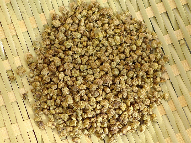 ye-ju-hua-wild-chrysanthemum-flower-indian-dendranthema-flower